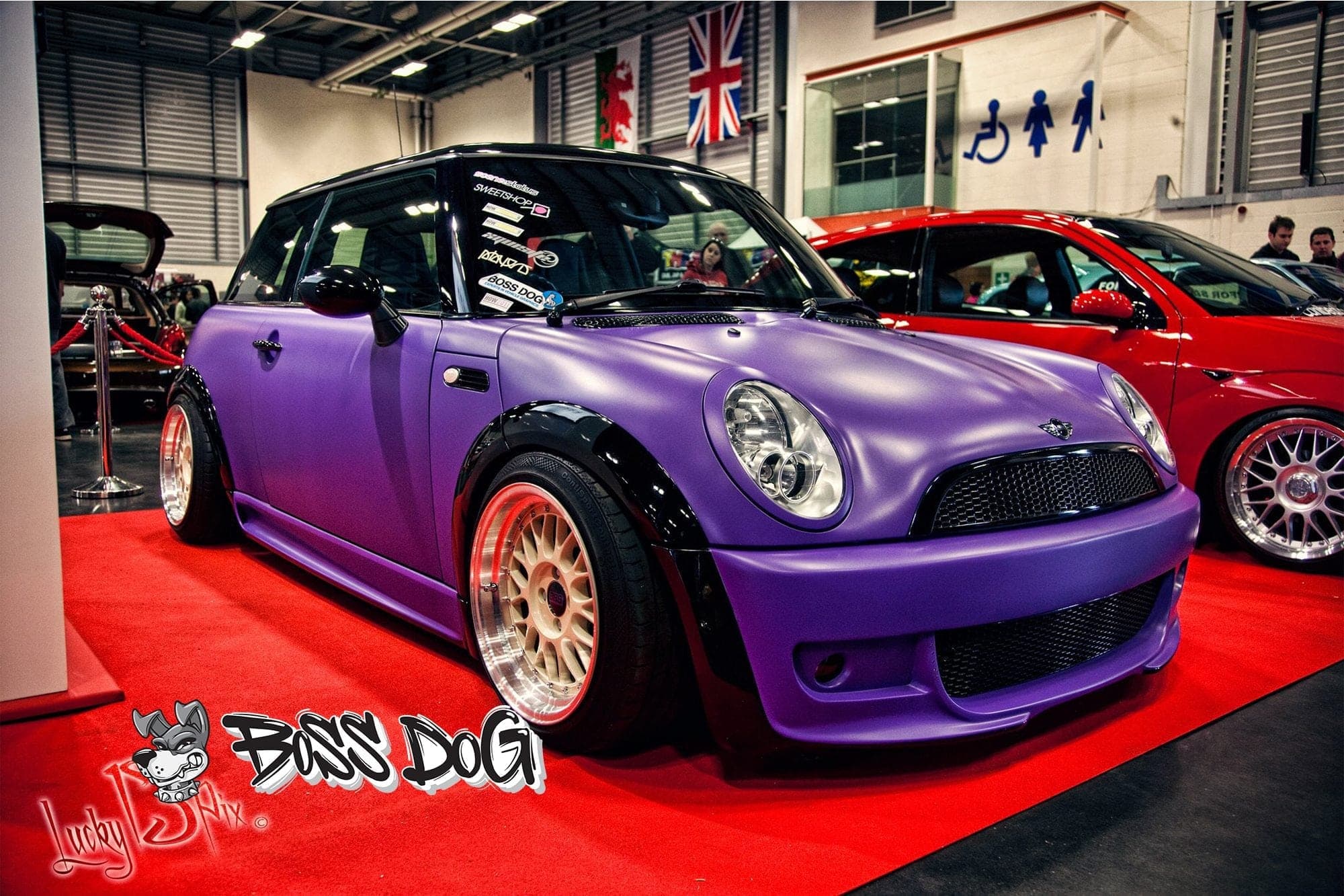 Car Wraps – Boss Dog